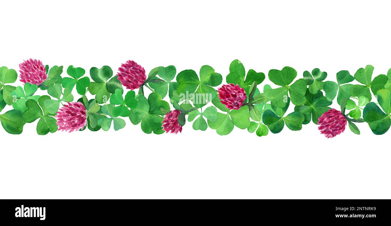 Watercolor drawn clover grass border with ladybugs. Botany frame ...