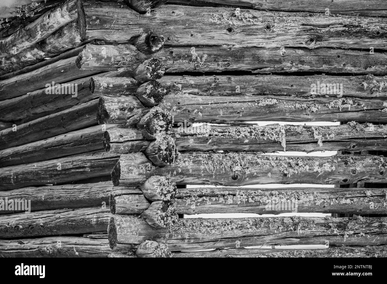 Alta Val Badia in winter. The village of La Val surrounded by the ...