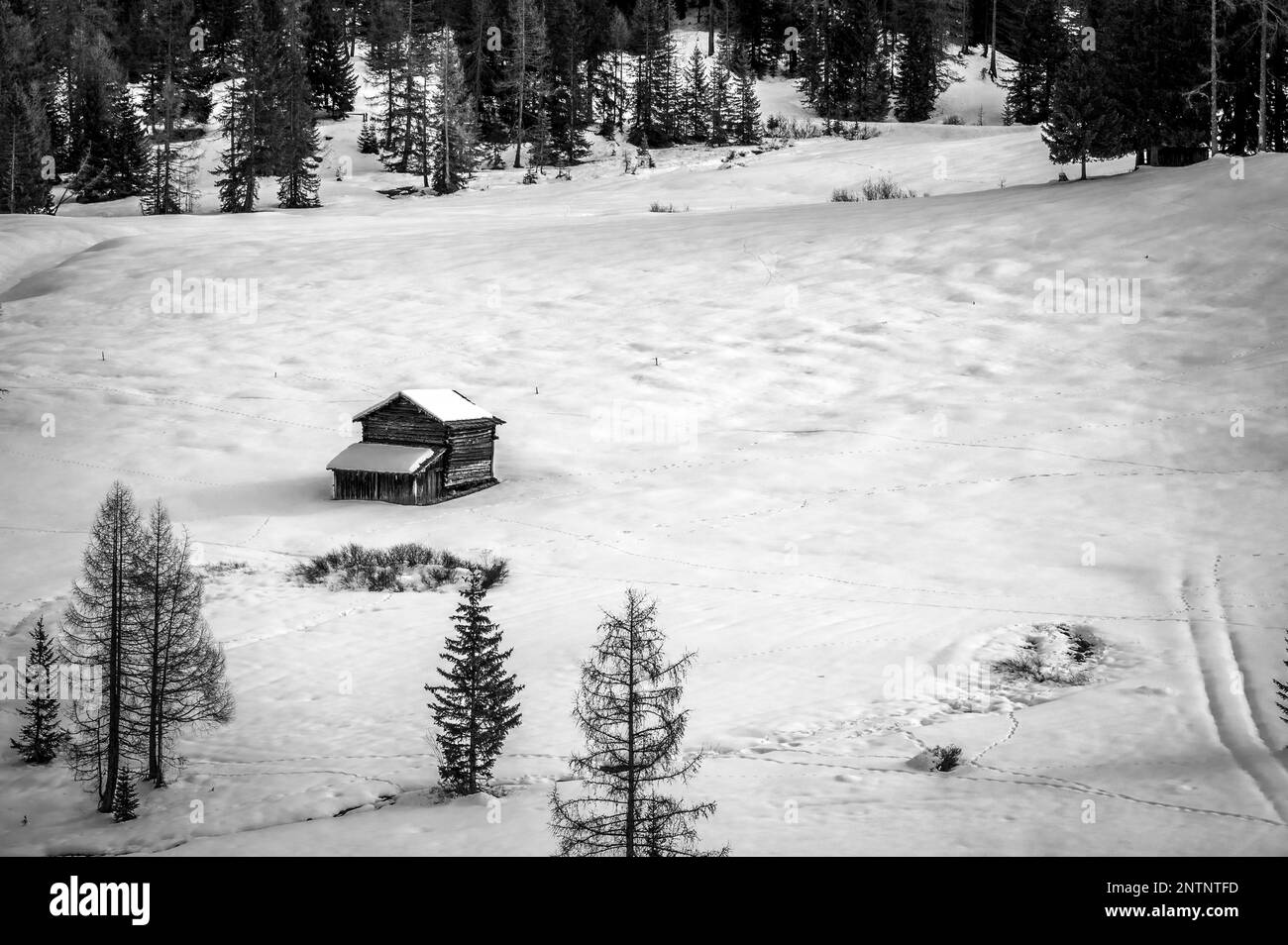 Alta Val Badia in winter. The village of La Val surrounded by the ...