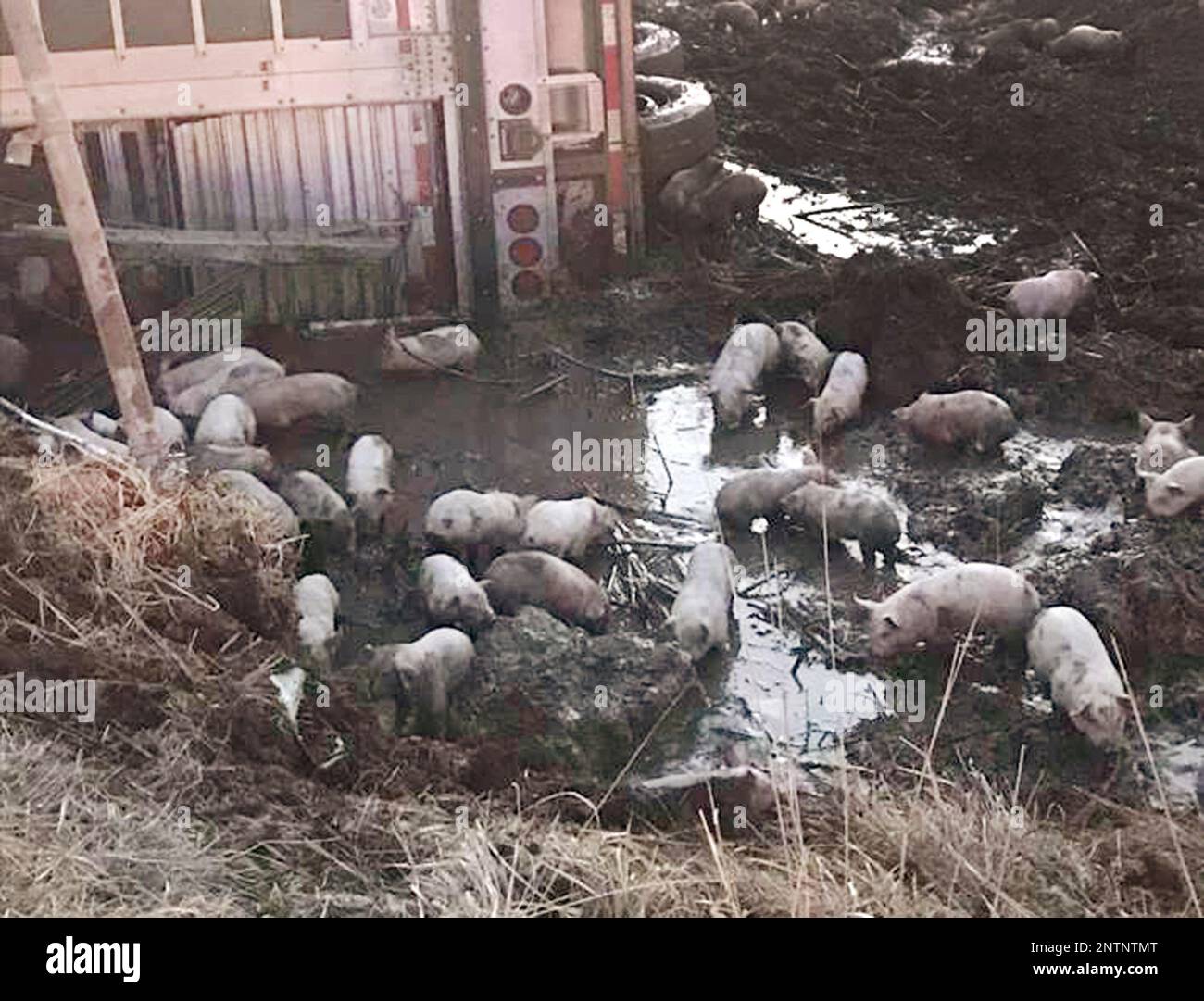 This Friday, March 22, 2019 photo provided by the Illinois State Police ...