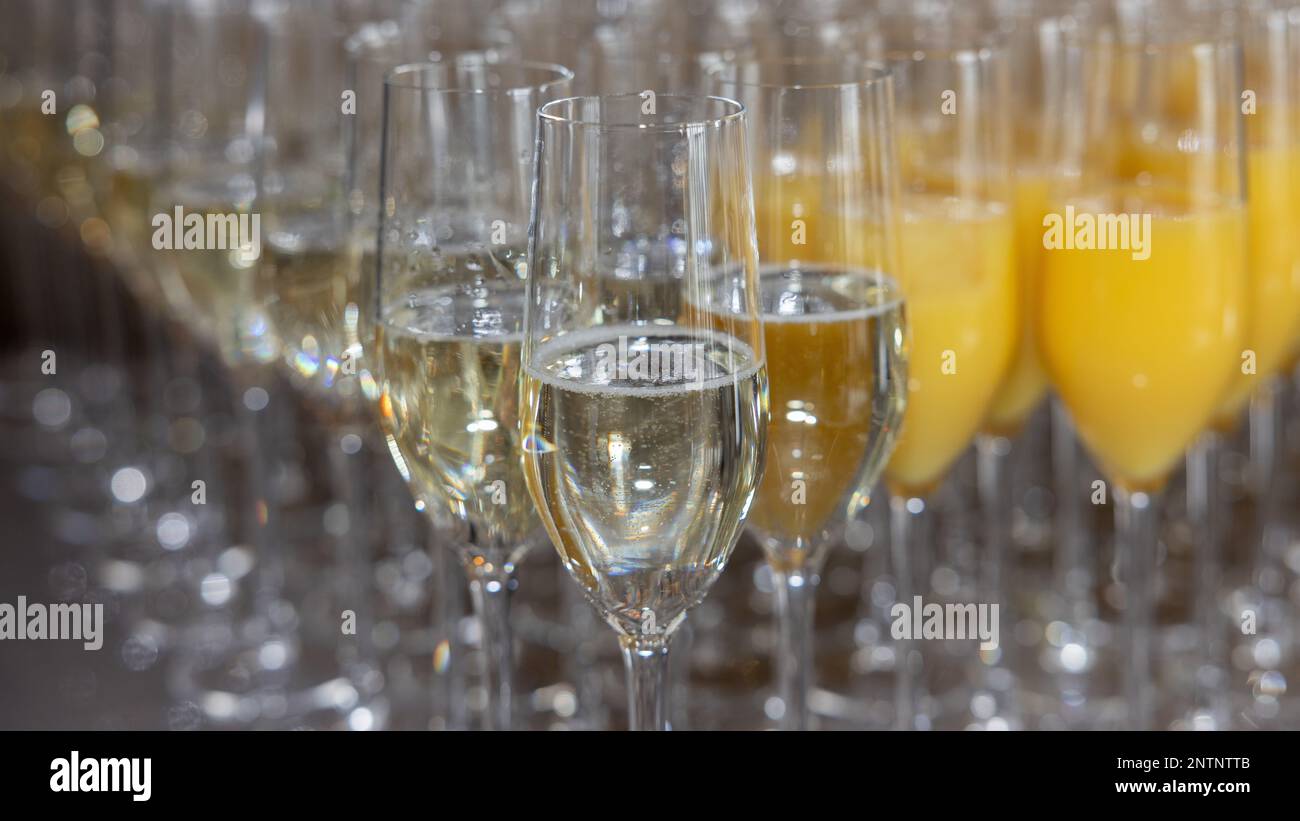 Glasses of Champagne/sparkling white wine, reception drinks at an event ...