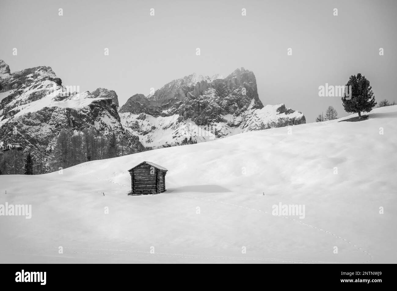Alta Val Badia in winter. The village of La Val surrounded by the ...