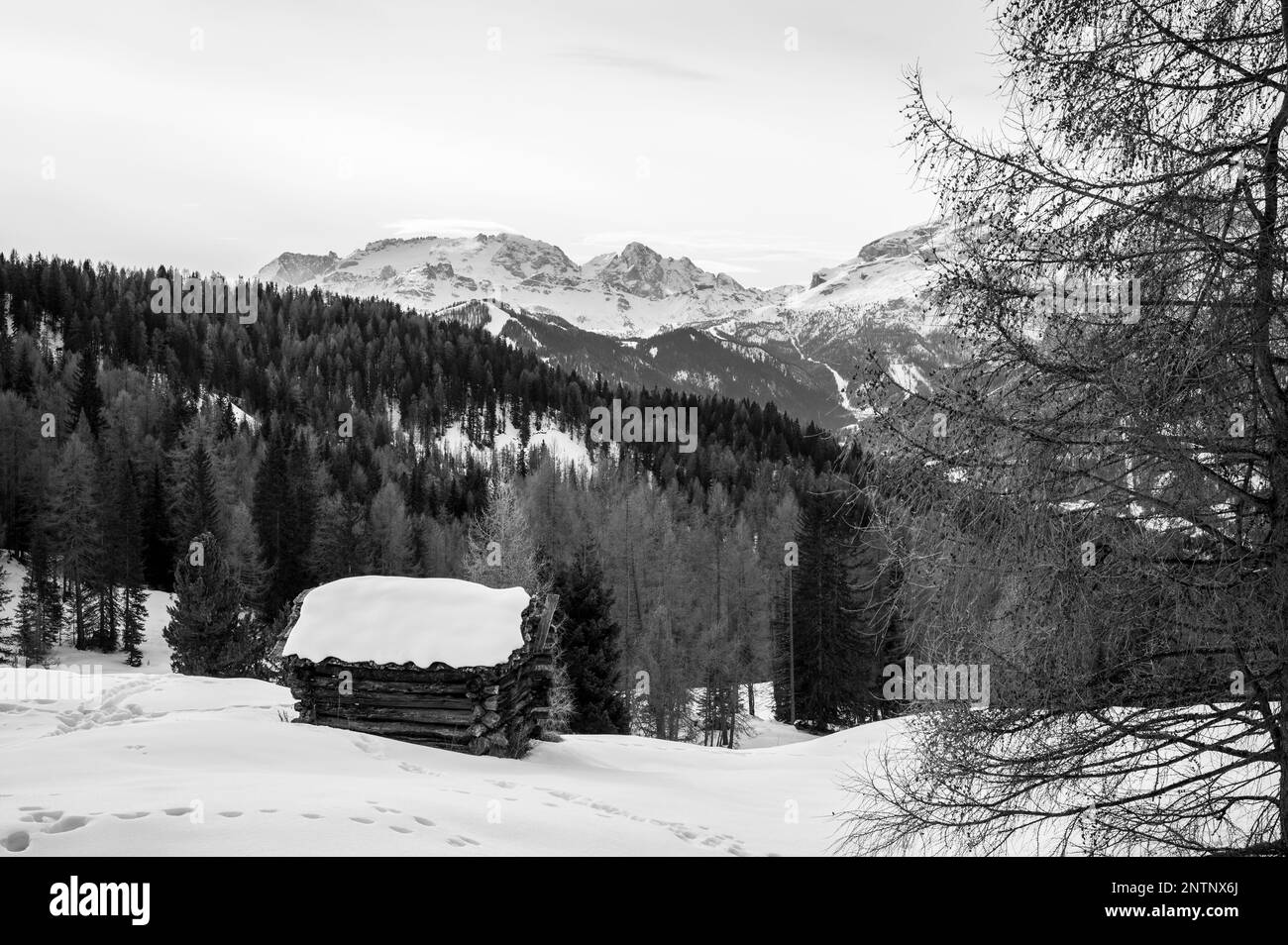 Alta Val Badia in winter. The village of La Val surrounded by the ...