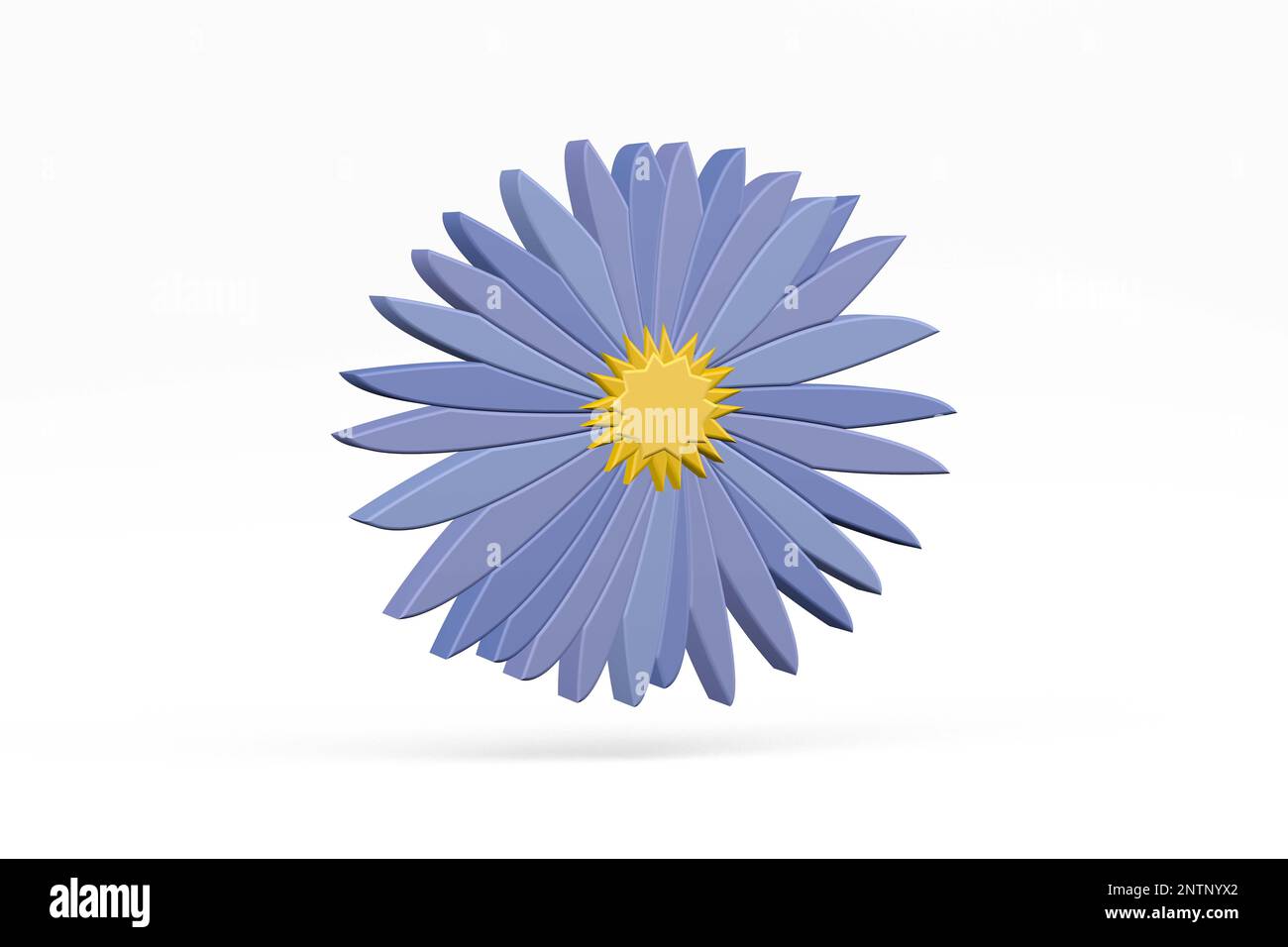 Three -dimensional graphics of purple daisy isolated on a white ...