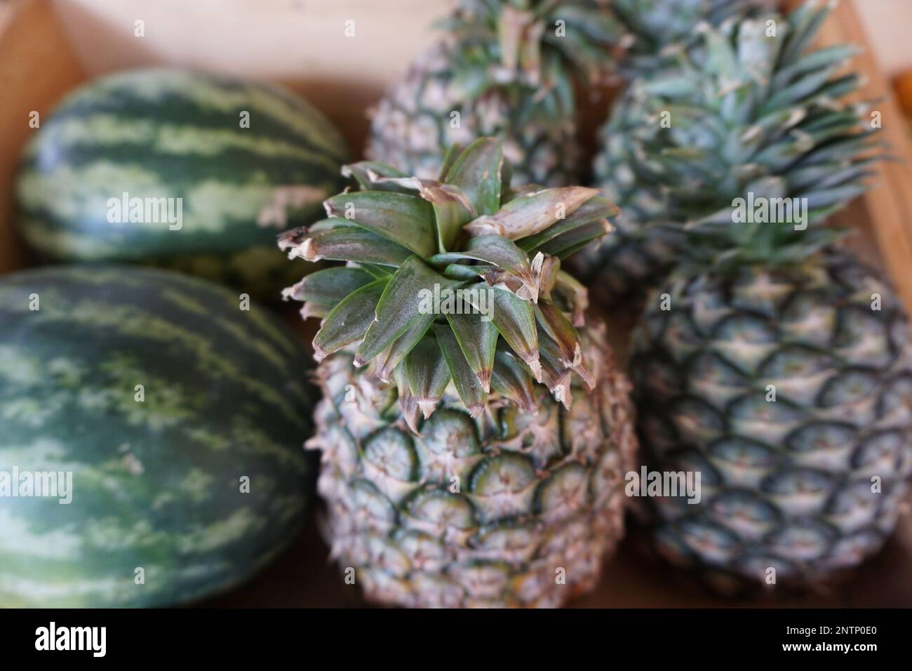 Sweet fresh pineapple from the garden Stock Photo - Alamy