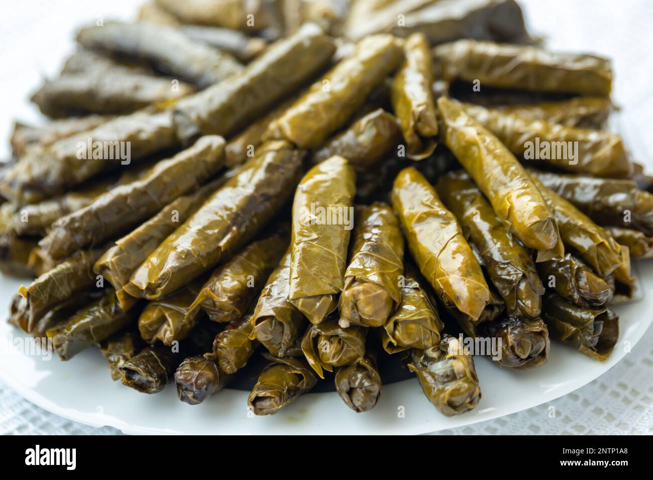 Traditional delicious Turkish foods , stuffed leaves ,traditional ...