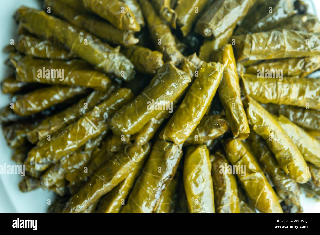 Traditional delicious Turkish foods , stuffed leaves ,traditional ...