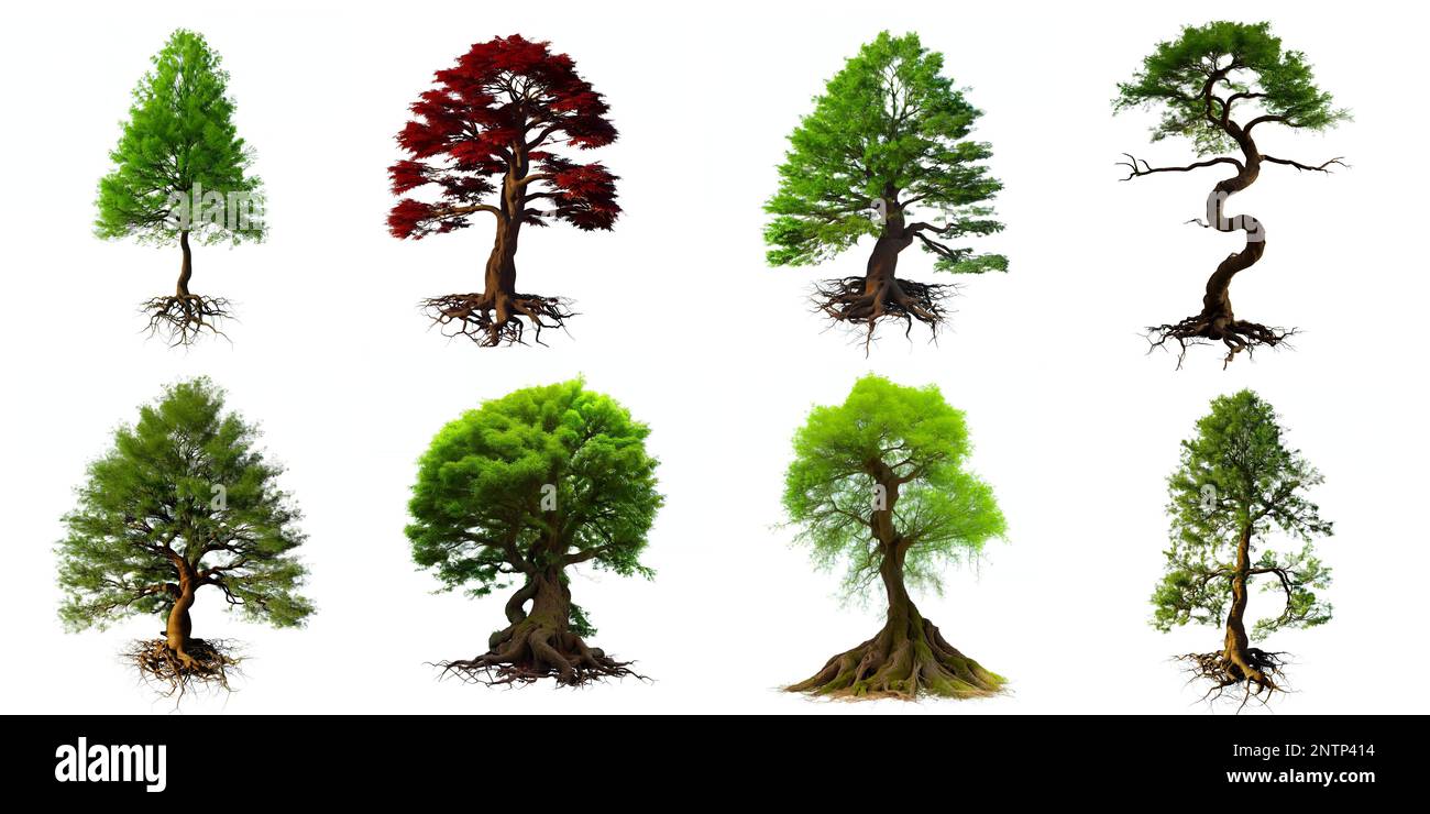 tree collection, set of beautiful plants with roots Stock Photo - Alamy