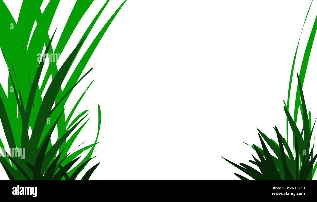 Green grass plant illustration background. Perfect for website ...