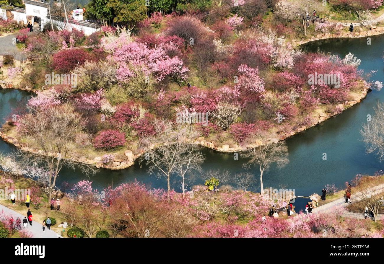 Aerial photo shows the spring scenery in Slender West Lake scenic area ...