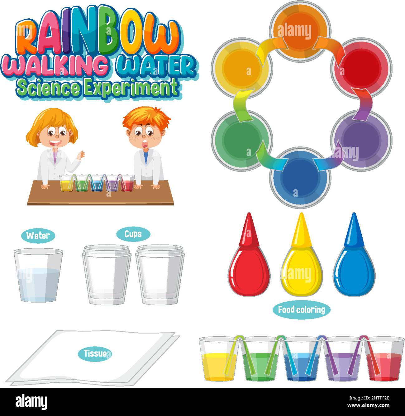 Rainbow walking water science experiment illustration Stock Vector ...