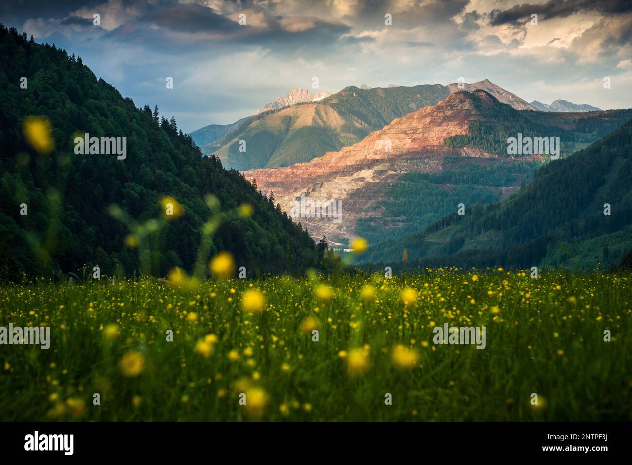 Spring is arriving to the Northern Hemisphere! Find inspiration in this ...