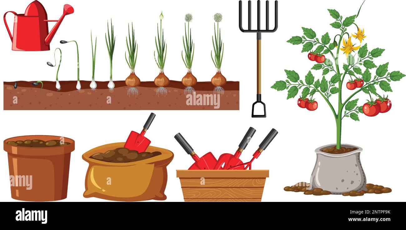 Set of plant and gardening tools and equipment illustration Stock ...