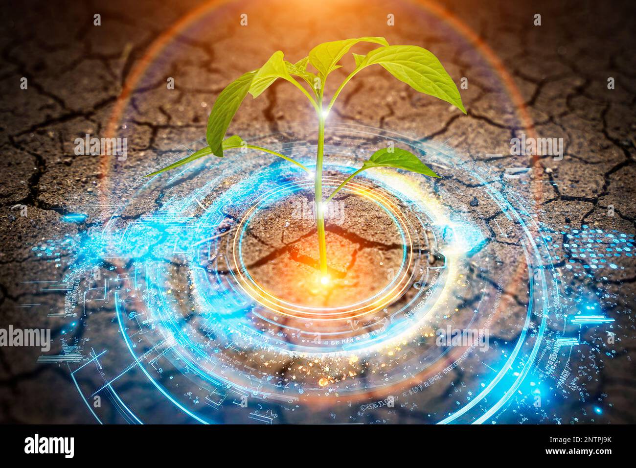 Agricultural technologies for growing plants and scientific research in ...
