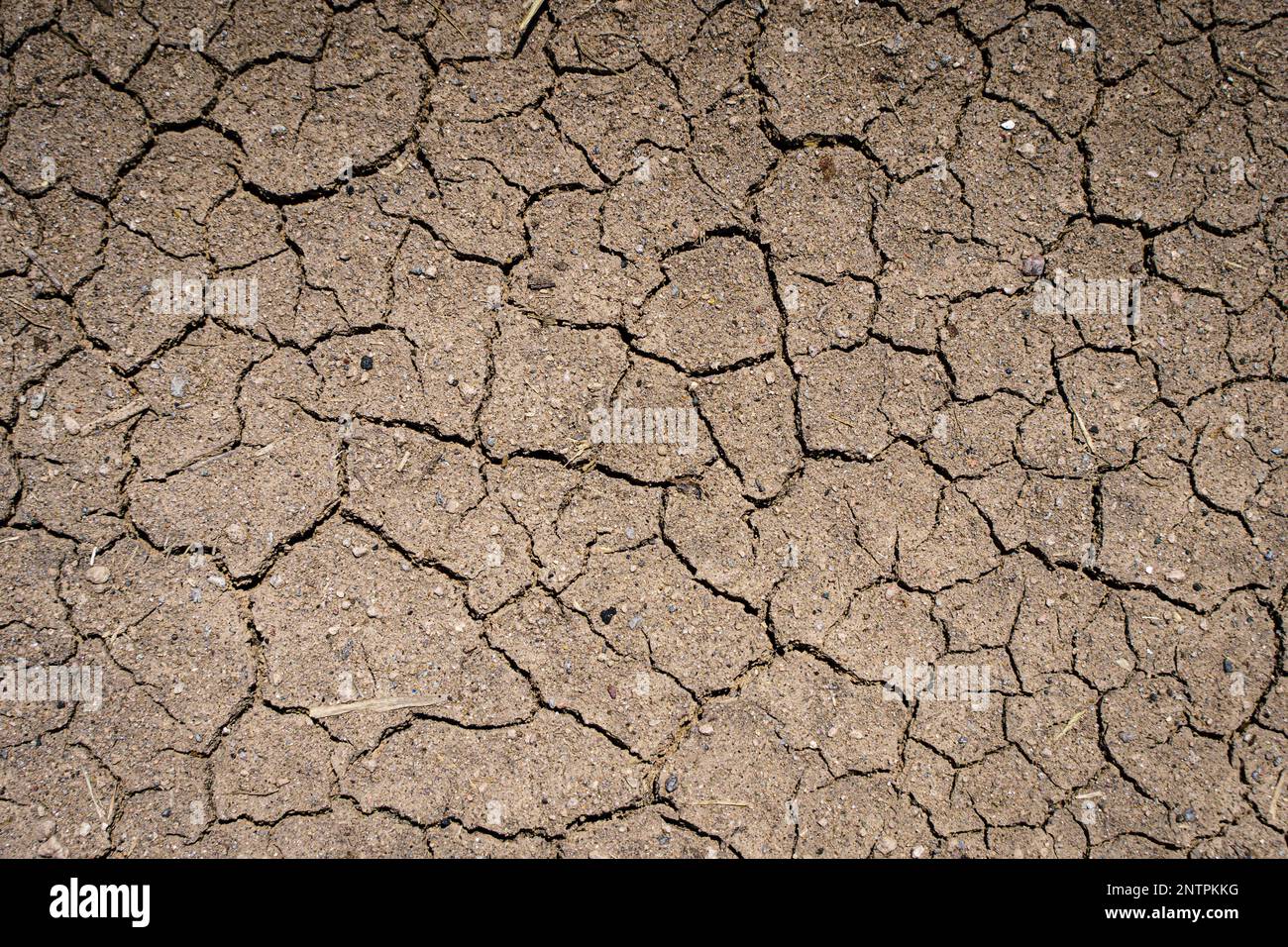 Dry soil background. Texture of dry land in drought and hot weather ...