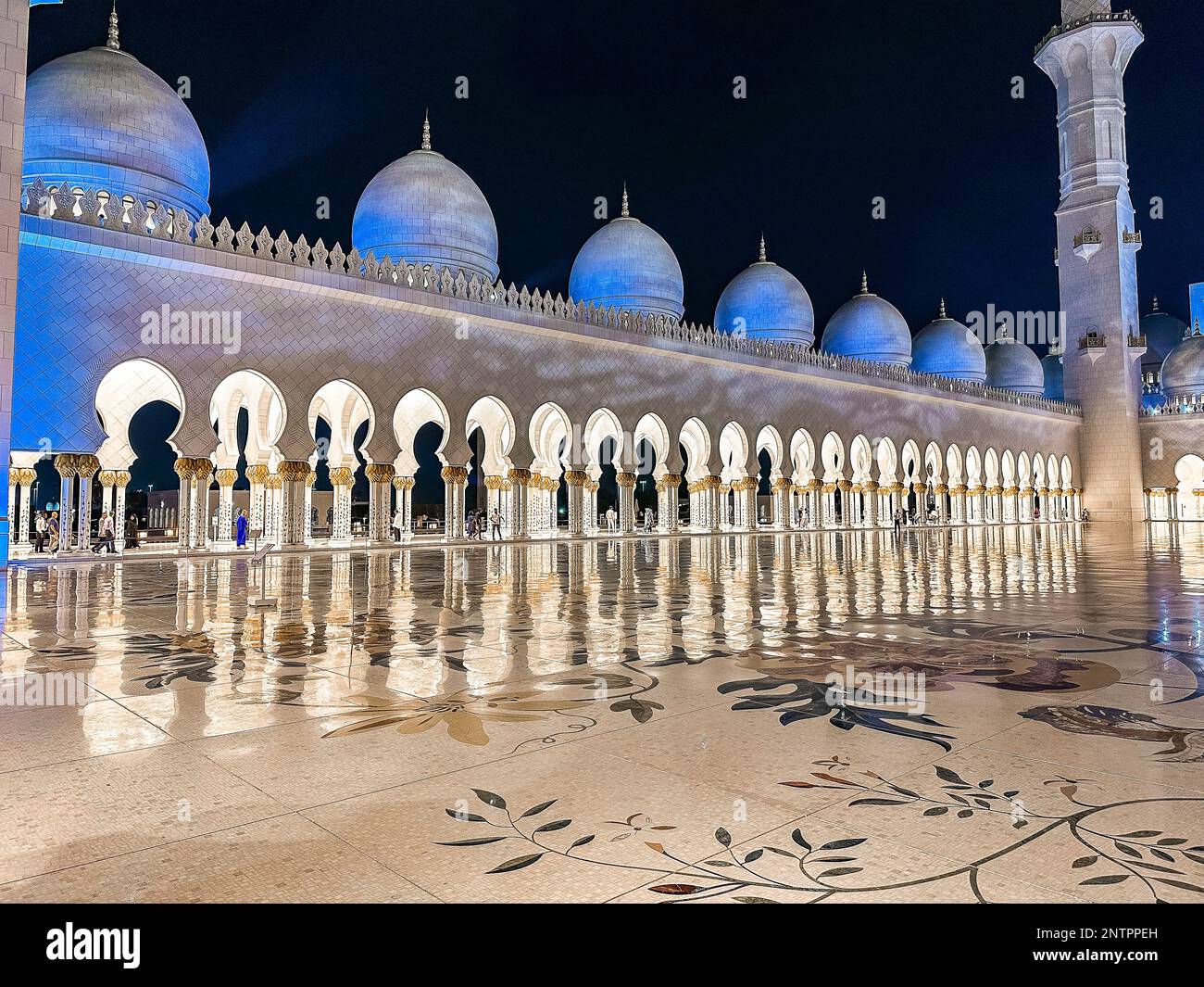 The Sheikh Zayed Grand Mosque at night, in Abu Dhabi, United Arab ...