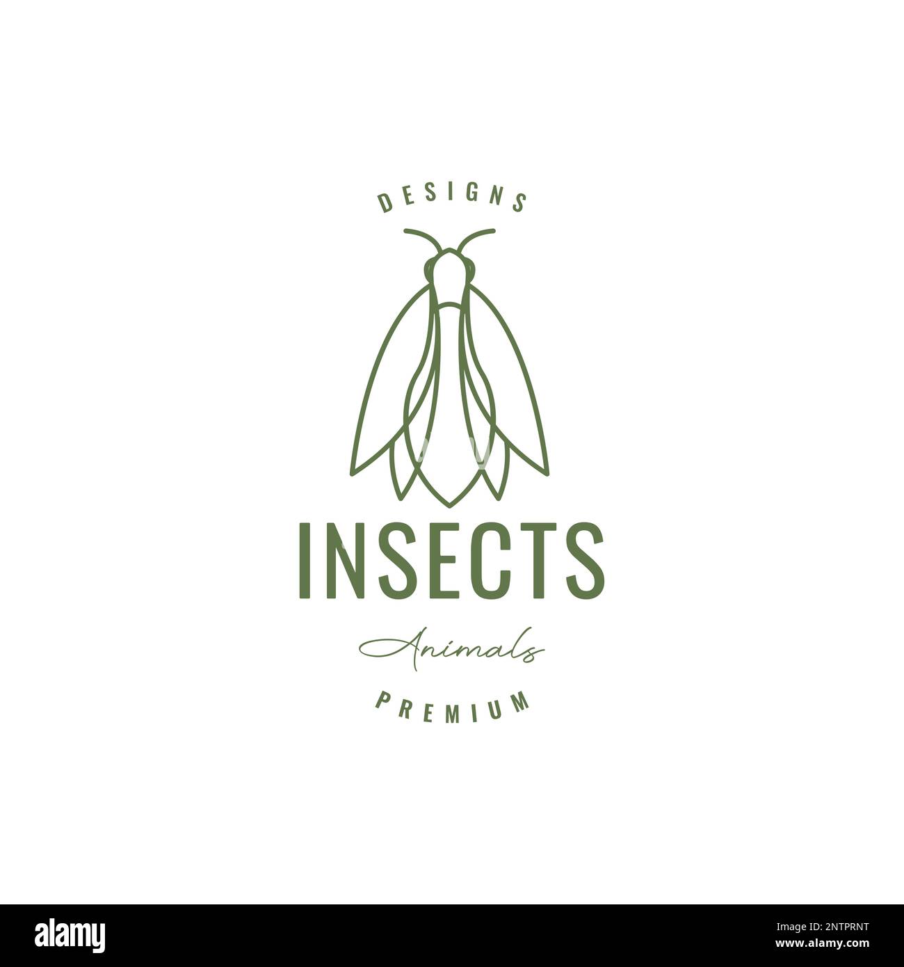 animal insect grasshopper cricket lines art hipster logo design vector ...