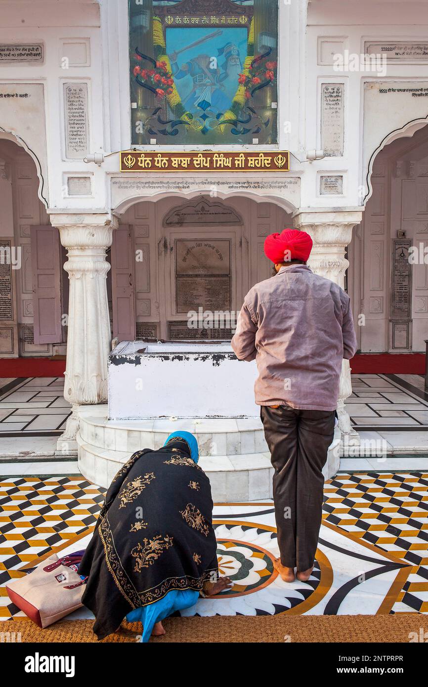 Pilgrims praying, golden temple, Amritsar, Punjab, India Stock Photo ...