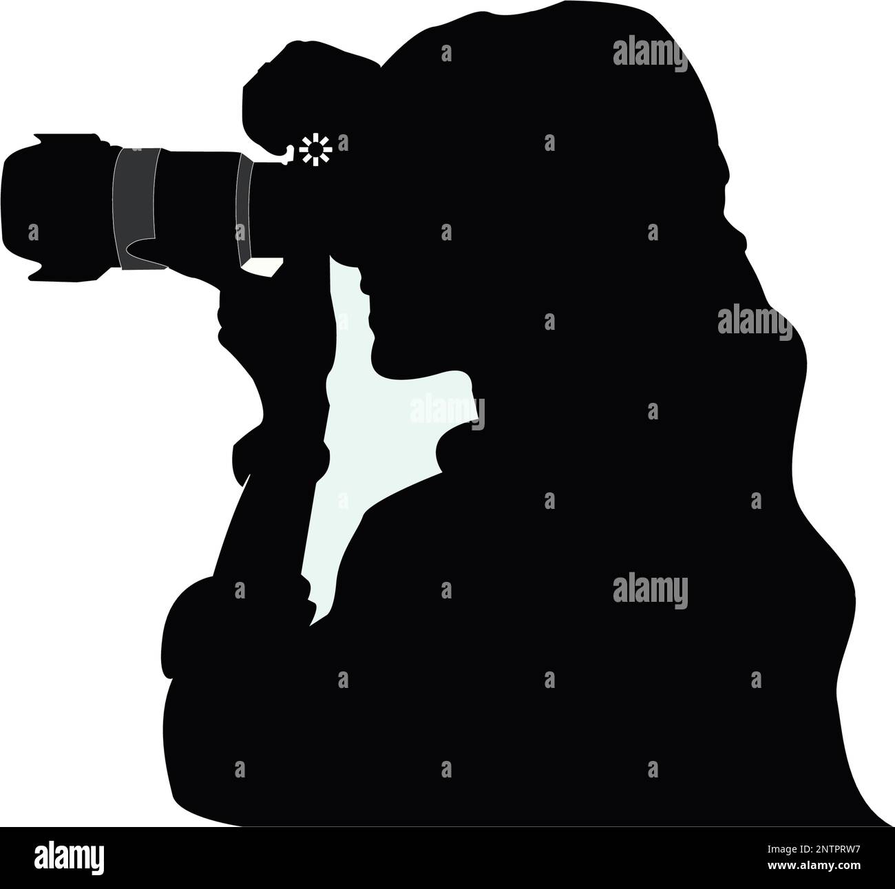 a photographer taking a picture, vector Stock Vector Image & Art - Alamy