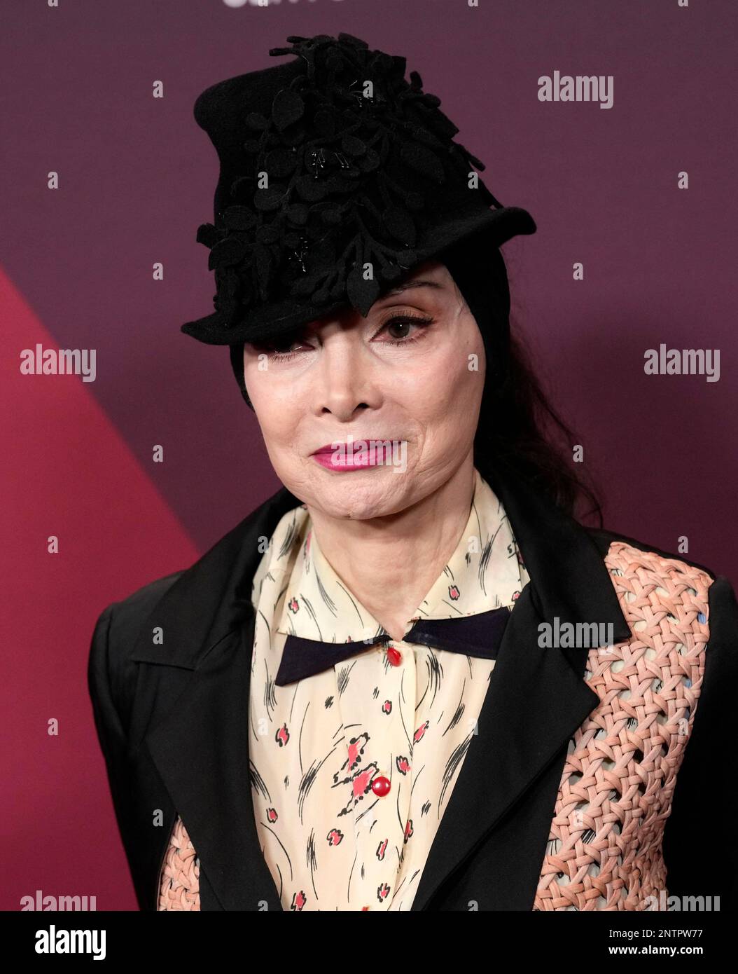 Toni Basil poses at the 25th Costume Designers Guild Awards, Monday ...