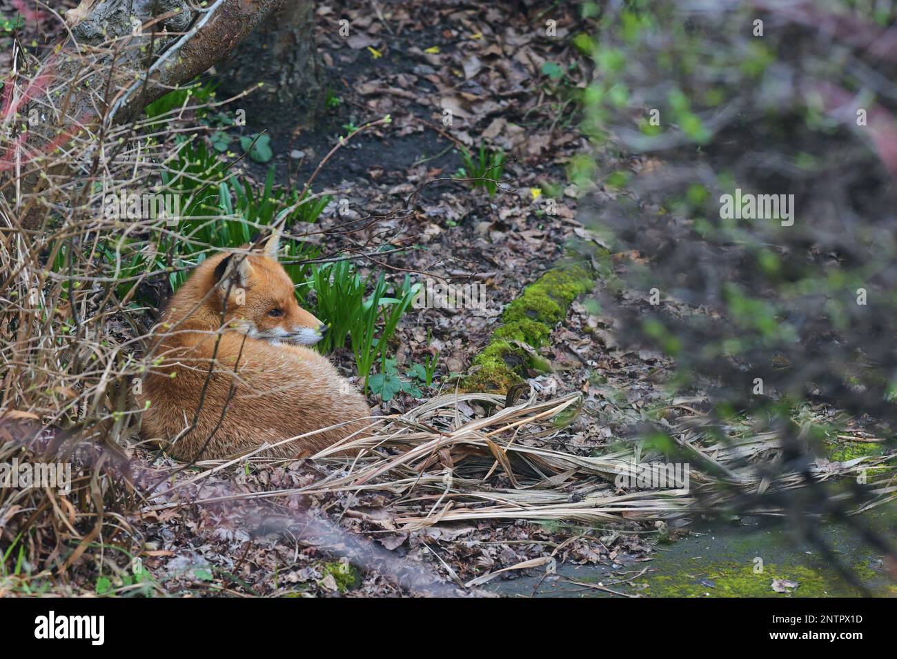Edinburgh Scotland, UK 27 February 2023. Photographed through glass ...