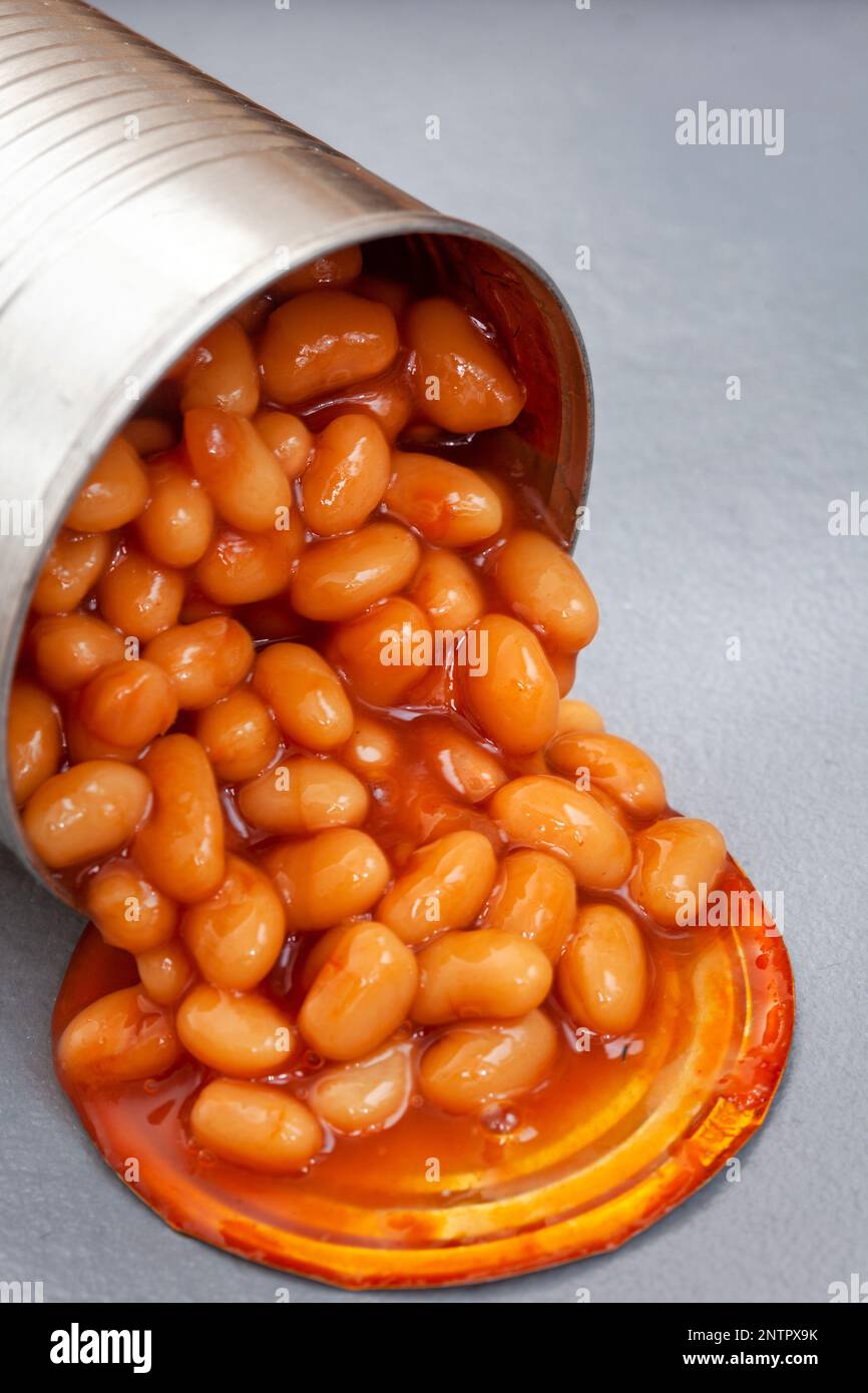 Can Babies Have Beans From A Can at Gene Courtney blog