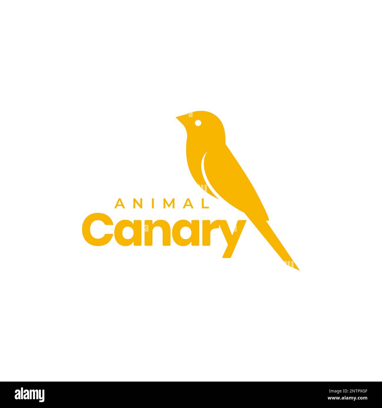 bird perched canary singer loud isolated modern logo design vector icon illustration Stock ...