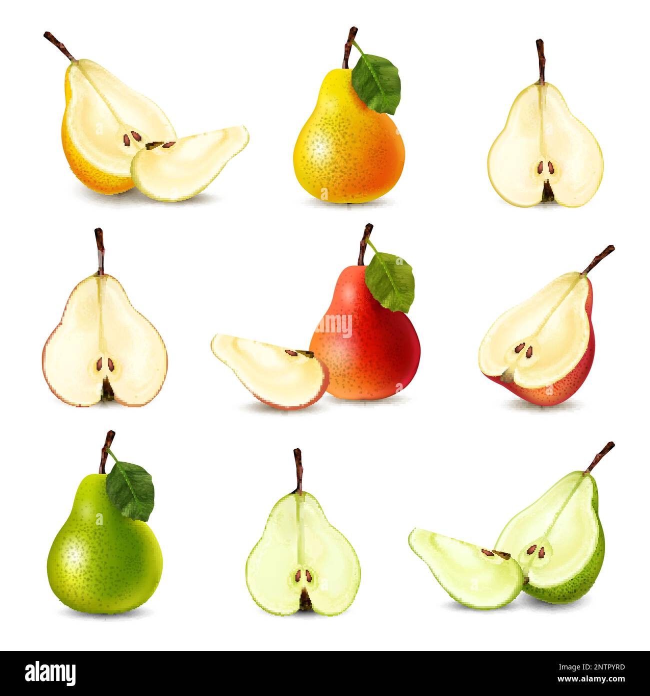 Realistic pear big icon set yellow green pears with and without leaves ...