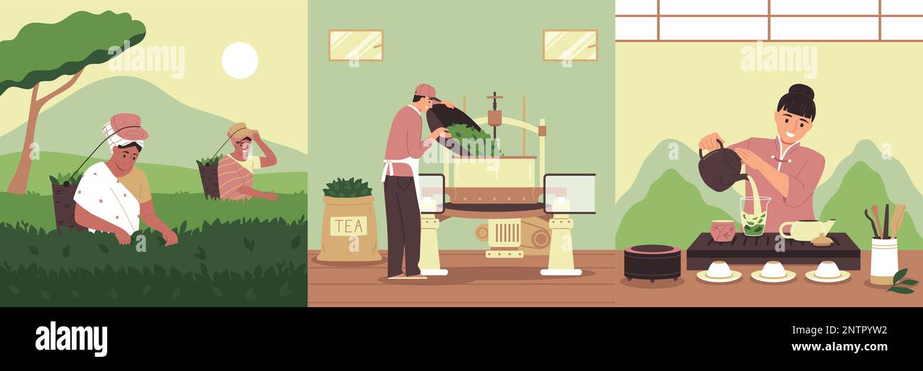 Tea production flat compositions set with traditional ceremony ...