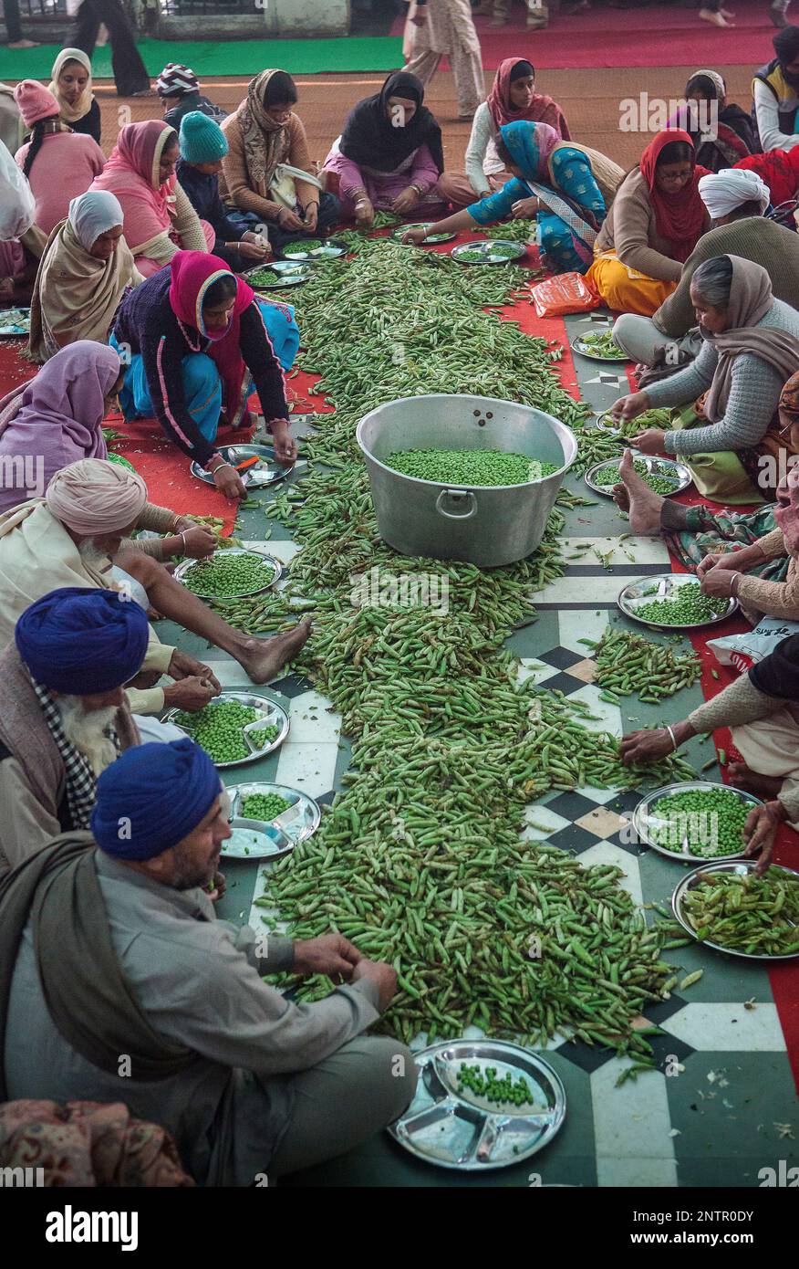Volunteers preparing broad beans for cooking, to do meals for the ...
