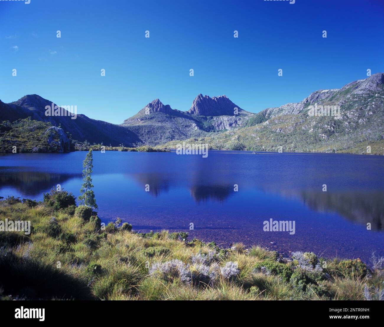 Australia, Tasmania, Cradle mountain and Dove Lake reflection Stock Photo - Alamy