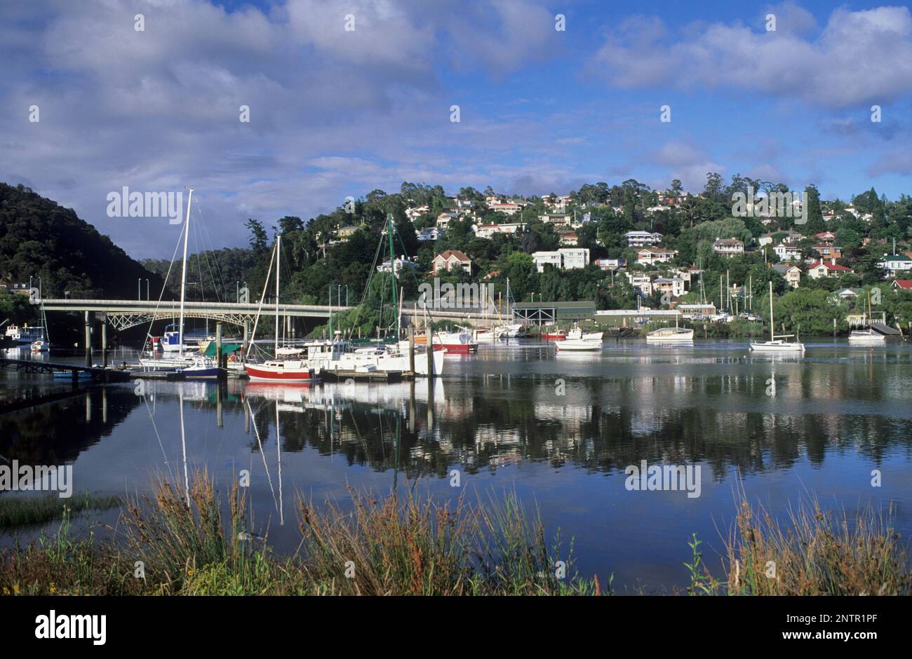 Australia, Tasmania, Launceston, the Tamar river and pleasure craft ...