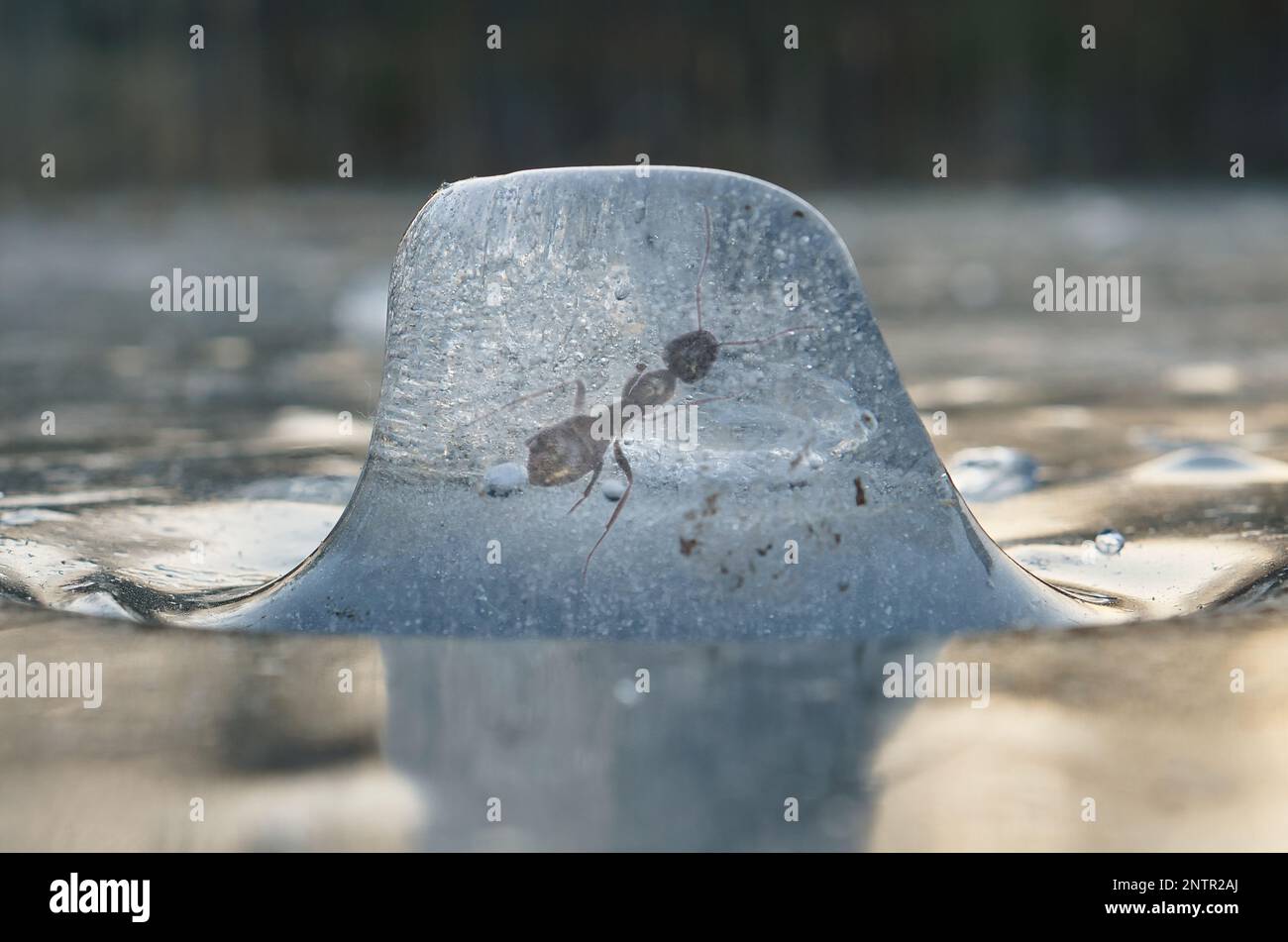 Ice age block hi-res stock photography and images - Alamy