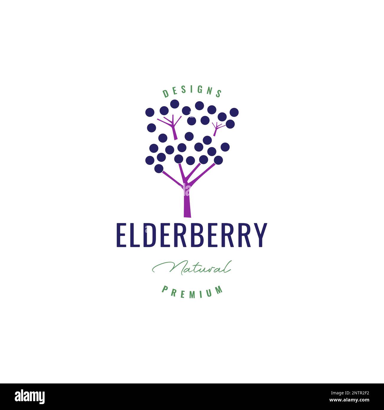 little fruit purple elderberry plant fresh nature field farm medicine ...