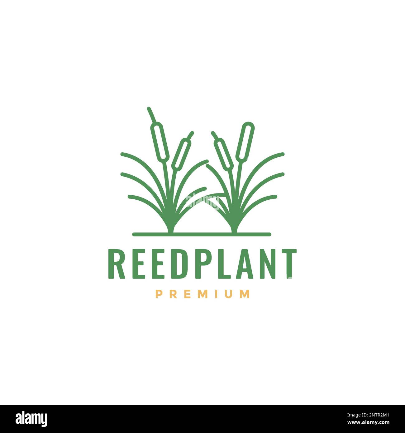 nature reed plant green field grass farm minimal logo design vector ...