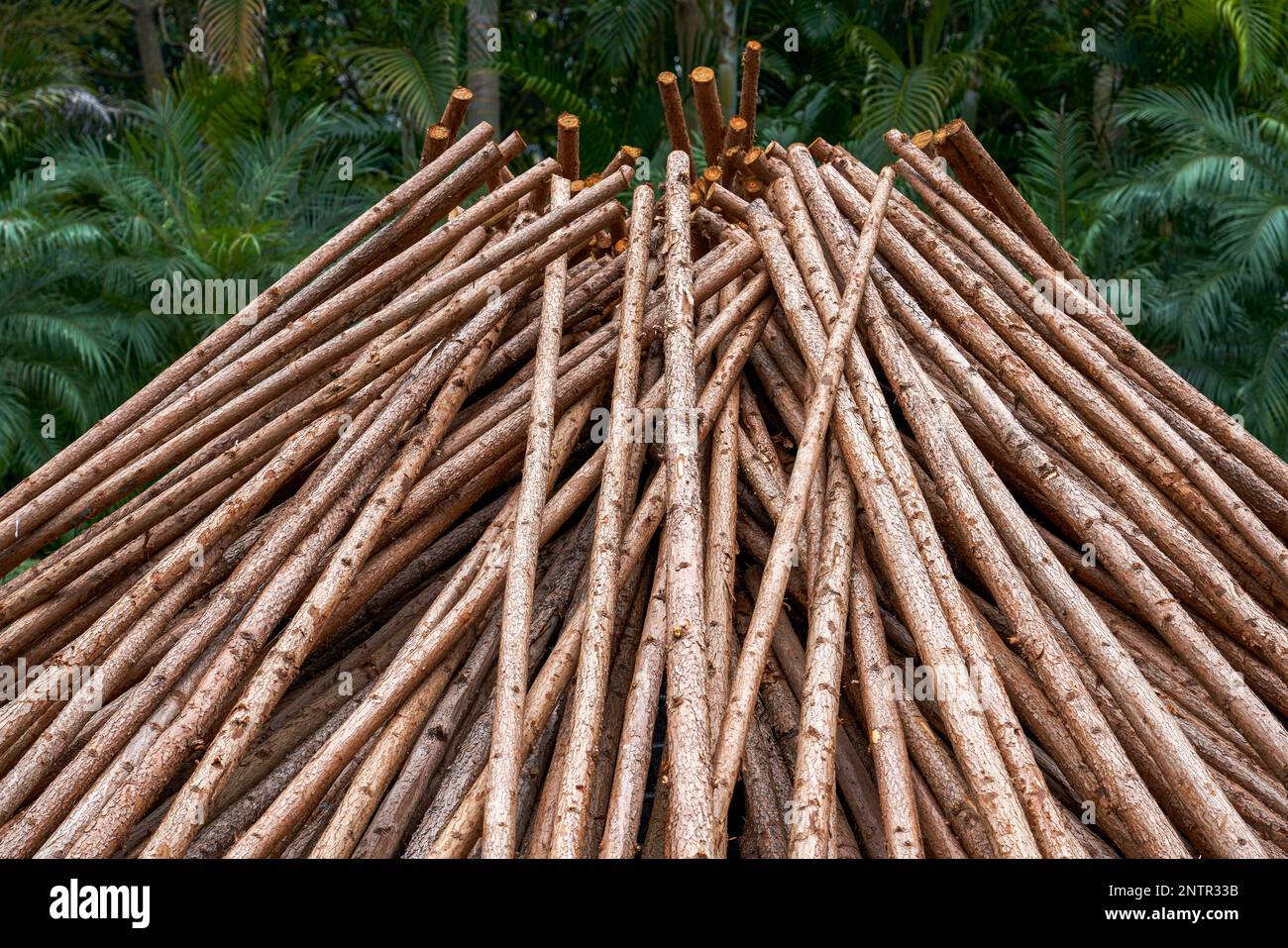 A large firewood campfire built for outdoor camping Stock Photo - Alamy