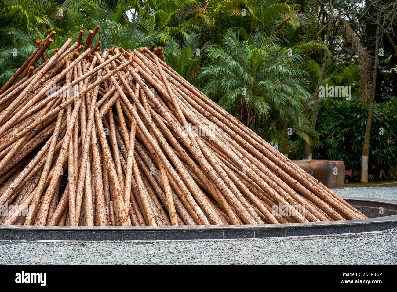 A large firewood campfire built for outdoor camping Stock Photo - Alamy
