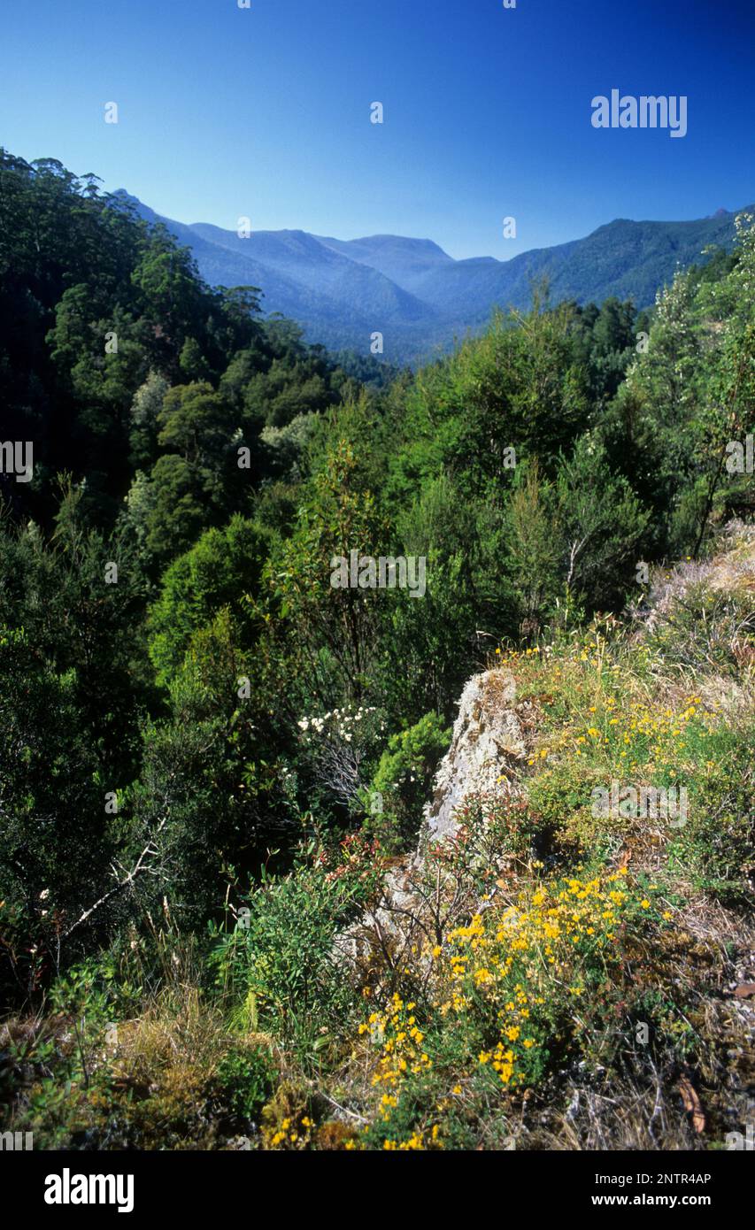 Australia, Tasmania, Franklin-Gordon Wild rivers NP and world heritage ...