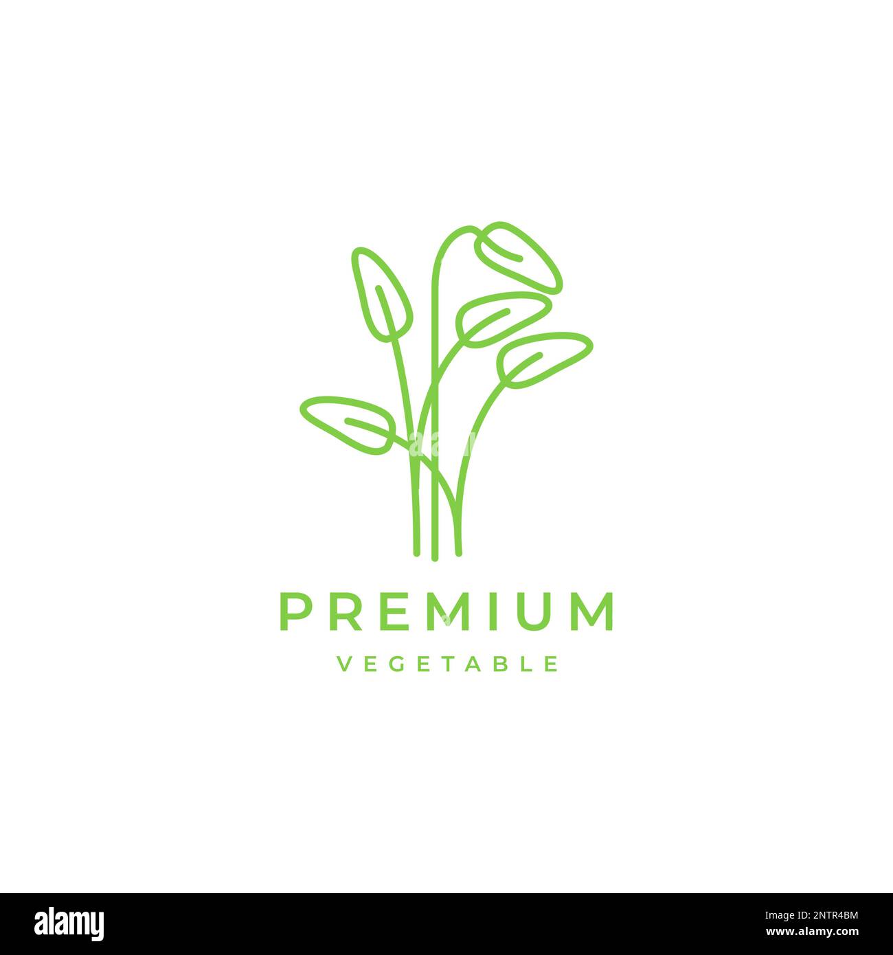 water spinach plant vegetables growth fresh line minimal logo design ...