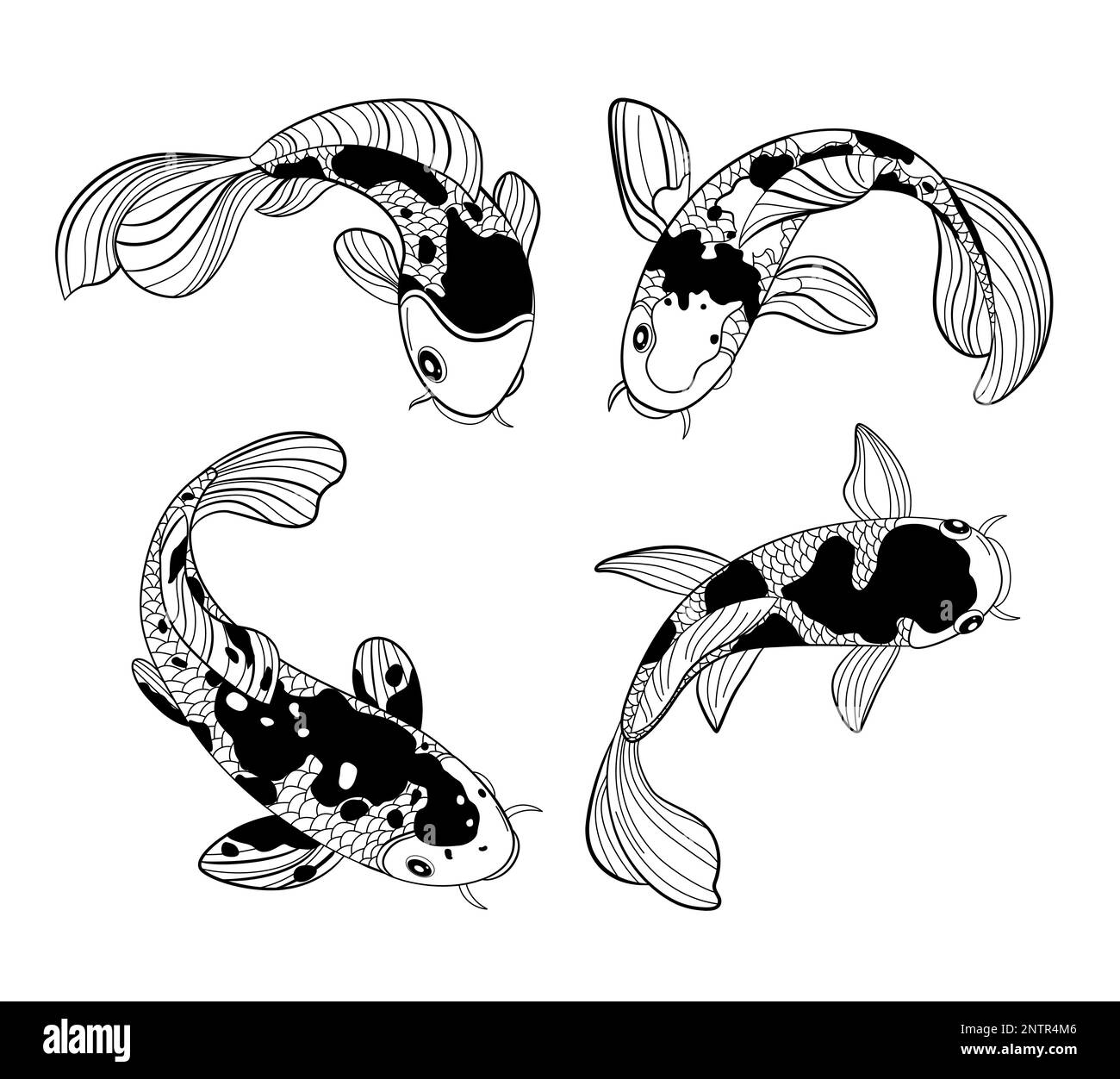 Koi fish black white drawing flat isolated vector illustration Stock ...