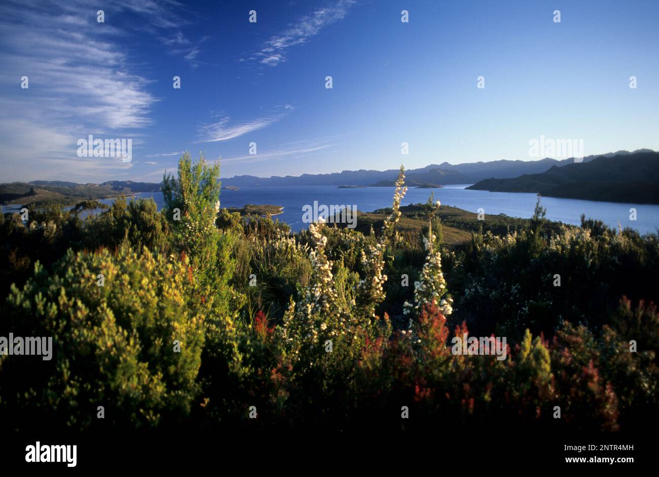 Australia, Tasmania, Southwest NP, world heritage, Lake Pedder as seen ...