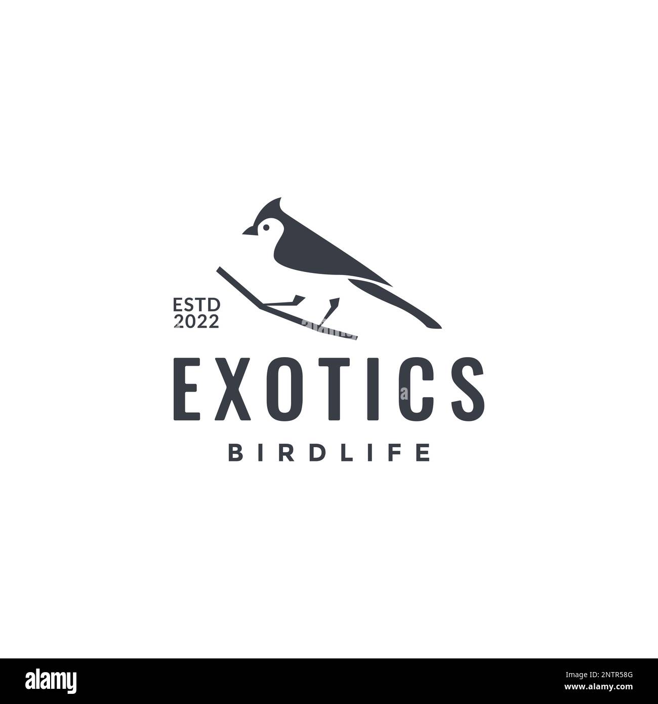 Sooty headed bulbul Stock Vector Images - Alamy