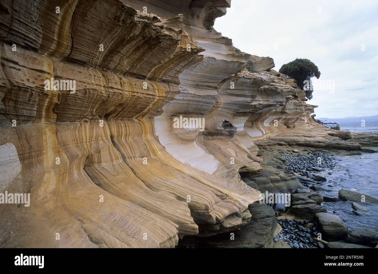 Australia, Tasmania, Maria Island, the Painted Cliffs Stock Photo - Alamy