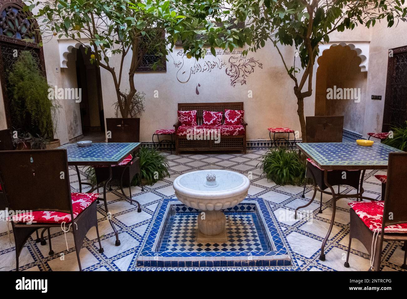 Marrakesh desert camel sunset hi-res stock photography and images - Alamy