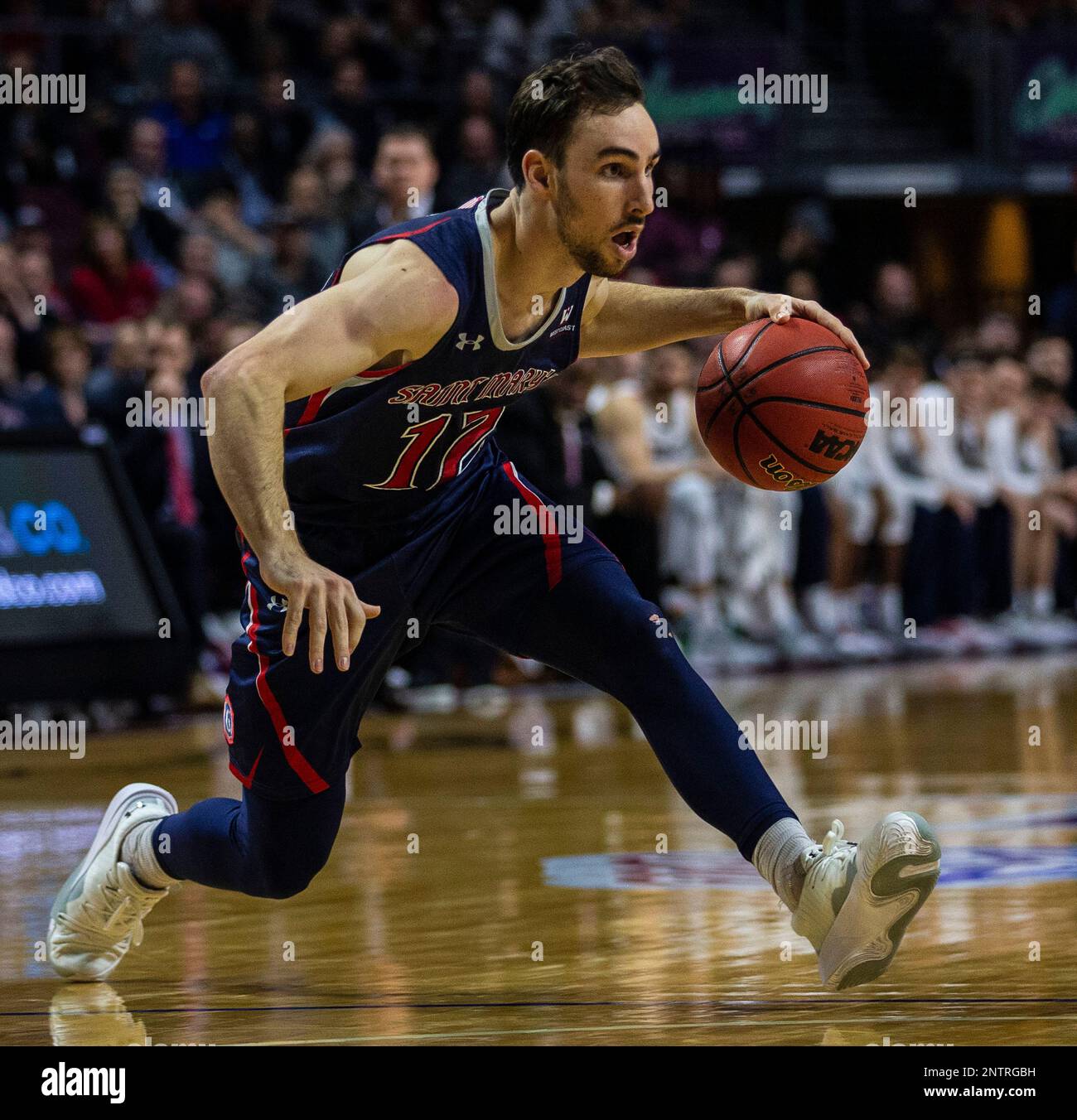 Mar 12 2019 Las Vegas, NV, U.S.A. St. Mary's guard Tommy Kuhse (12 ...