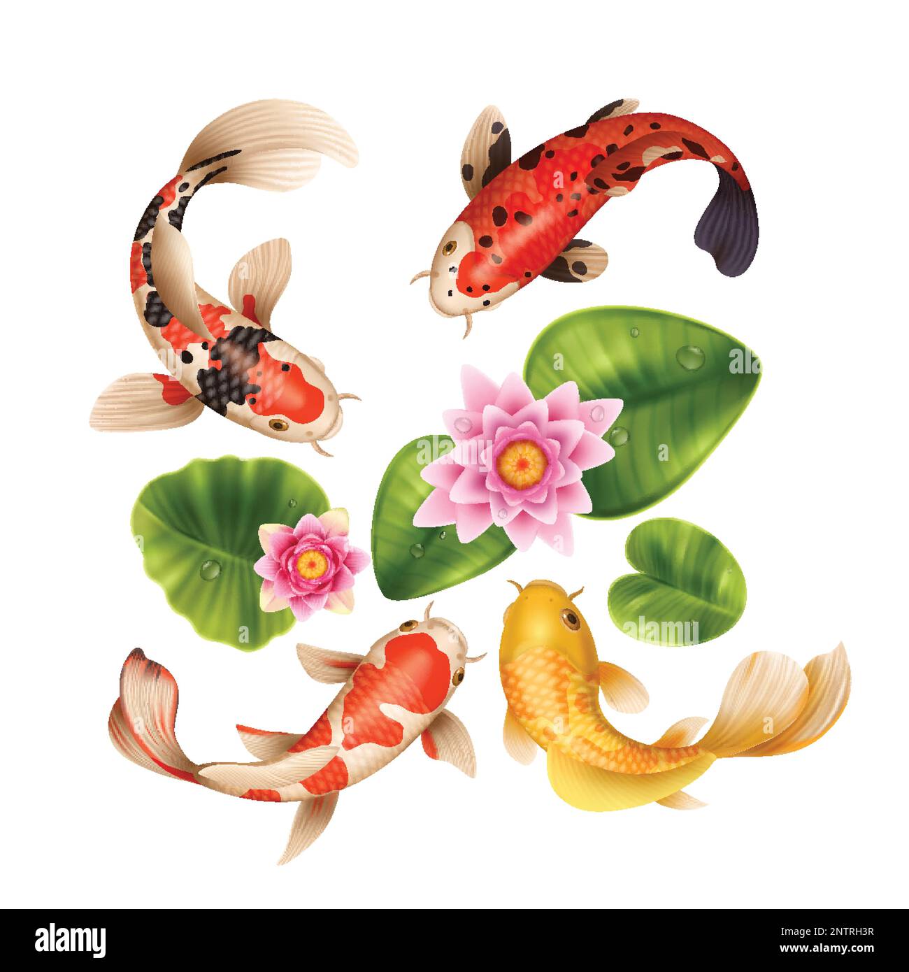 Realistic koi fish composition with top view of lake water lily flowers ...