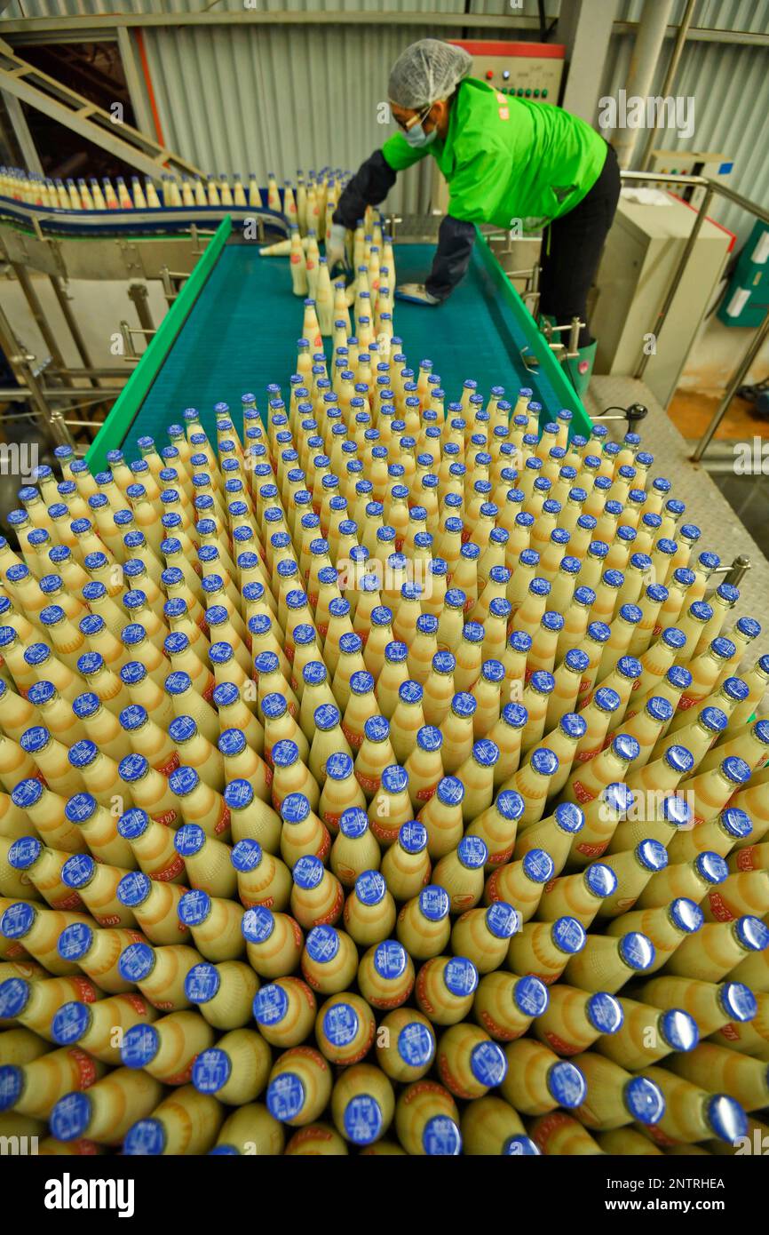 A staff works at a soy milk factory in Nanning in south China's Guangxi ...