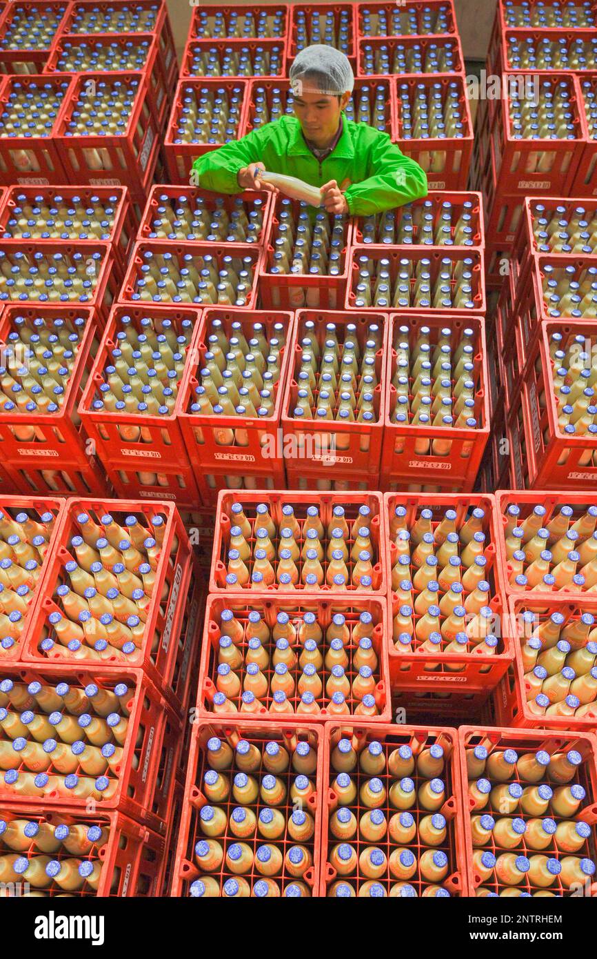 A staff works at a soy milk factory in Nanning in south China's Guangxi ...