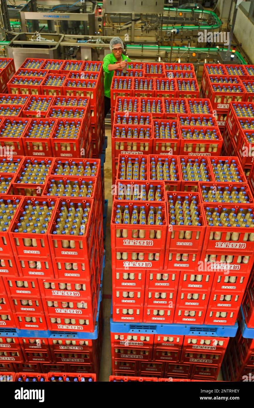 A staff works at a soy milk factory in Nanning in south China's Guangxi ...