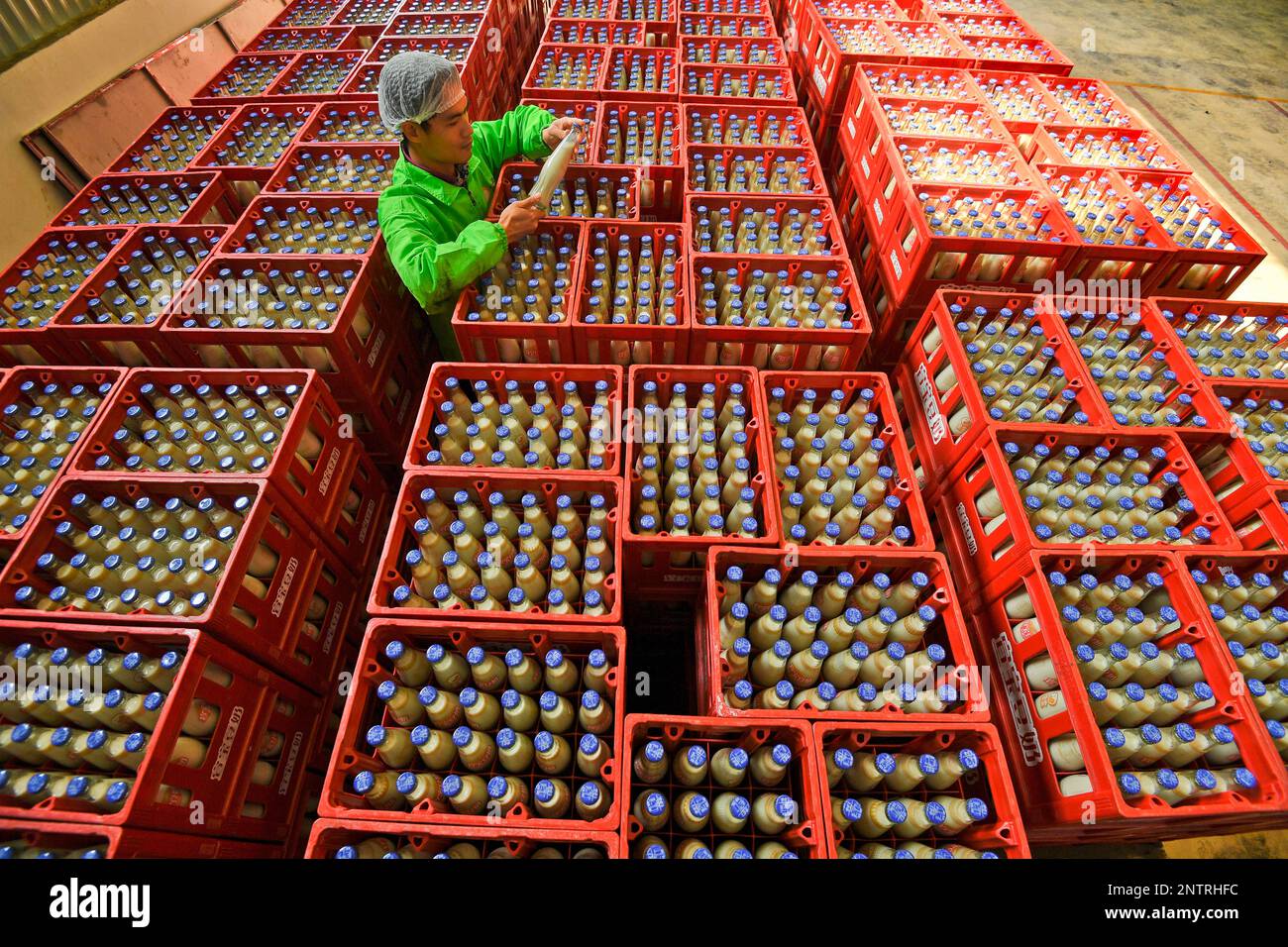 A staff works at a soy milk factory in Nanning in south China's Guangxi ...